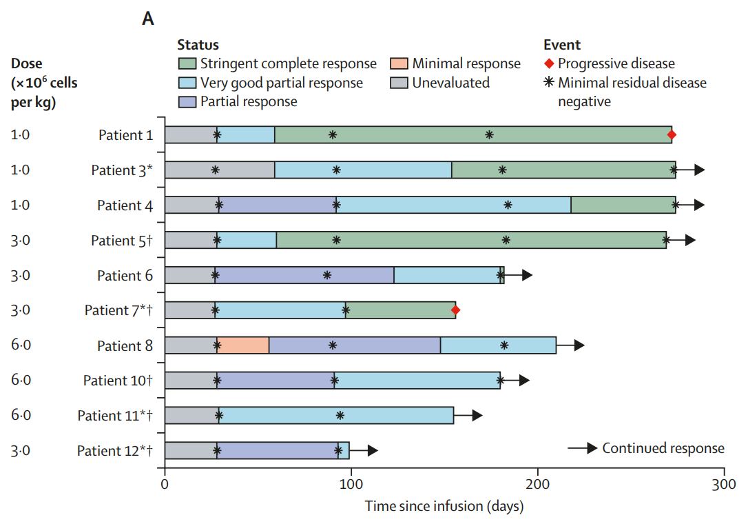 GPRC5D-targeted CAR T cells show efficacy in phase 1 trial of relapsed ...